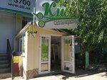 Salon krasoty Kivi (улица Маршала Бабаджаняна No:68/1), güzellik salonu  Odesa'dan