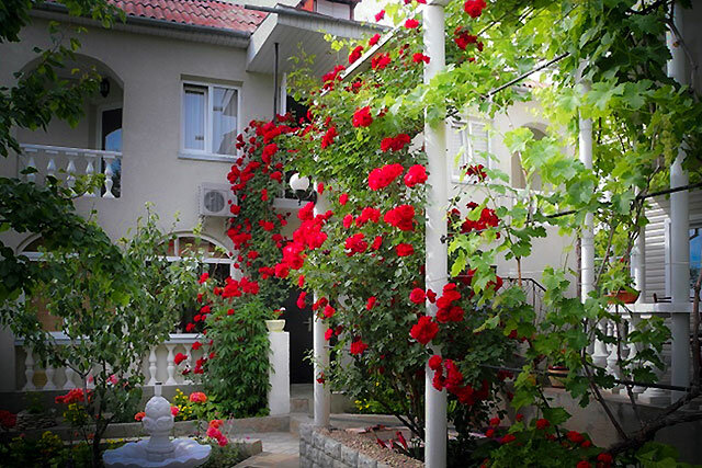 Otel Vishnevaya 21, Sevastopol, foto