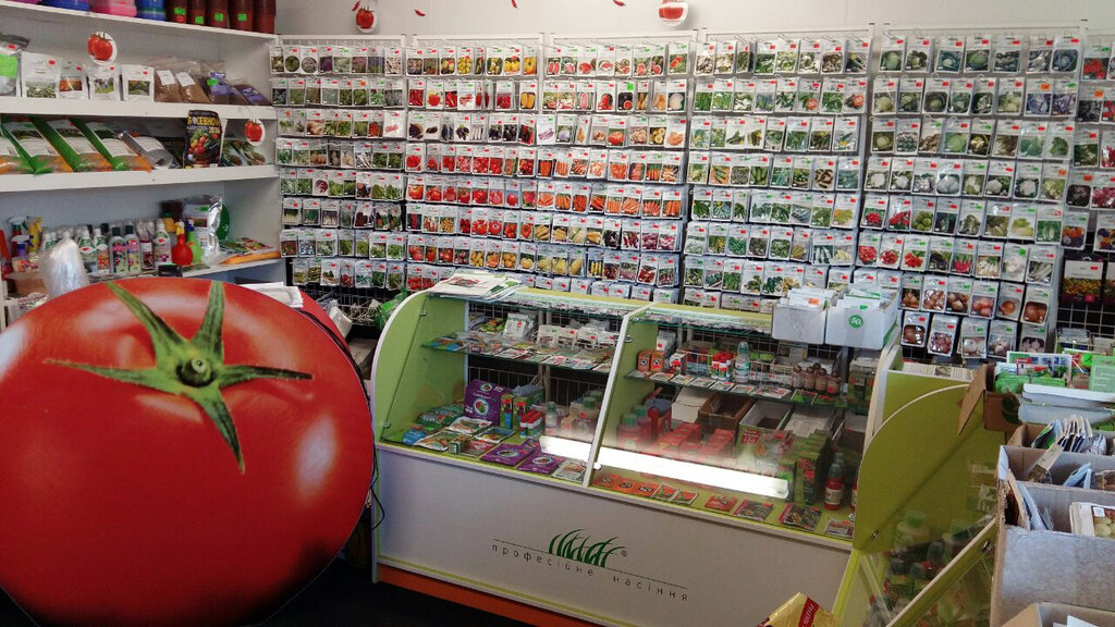 Tohum satan yerler shop TM Professional seeds, Kiev Bölgesi, foto