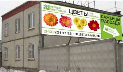 Sera ve bahçe ürünleri Pervy tsvetochny, Yekaterinburg, foto