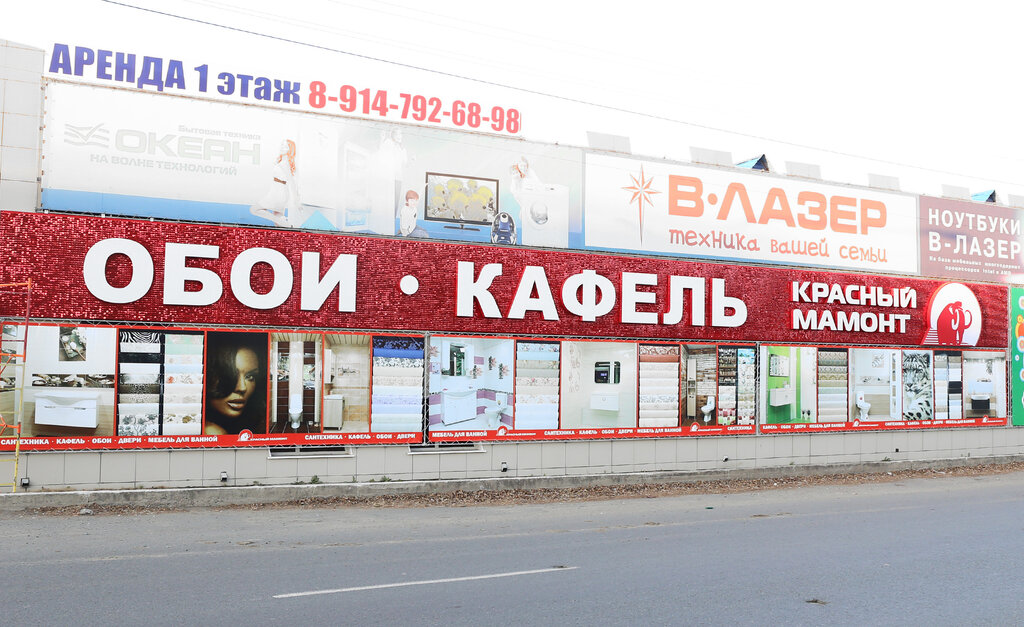 Duvar kağıdı mağazaları Krasny mamont, Artem, foto