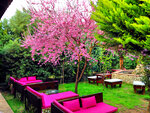 Façiba Butik Otel (Ahmetli Mah., İdeal Cad., No:9, Şile, İstanbul), restoran  Şile'den