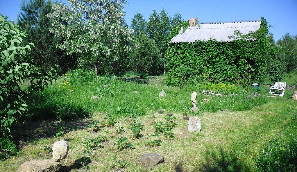 Kamp alanları Rayskiy berezhok, Kalujskaya oblastı, foto