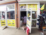 Zootovary, Butik № 951 (Vsikhsviatska vulytsia No:5), petshop  Chernigov'dan