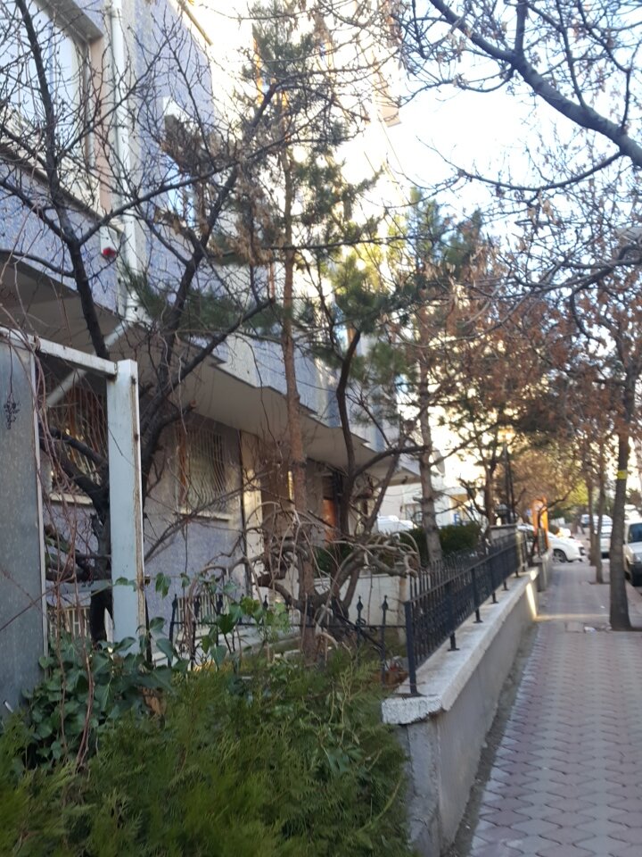 Jant ve lastikçiler Boran Oto Lastik, Ankara, foto