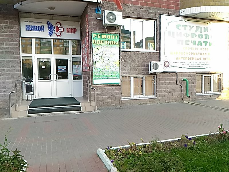 Petshop Живой Мир, Kursk, foto