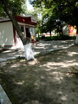Produkty (vulytsia Semena Paliia No:80, Odesa), market  Odesa'dan