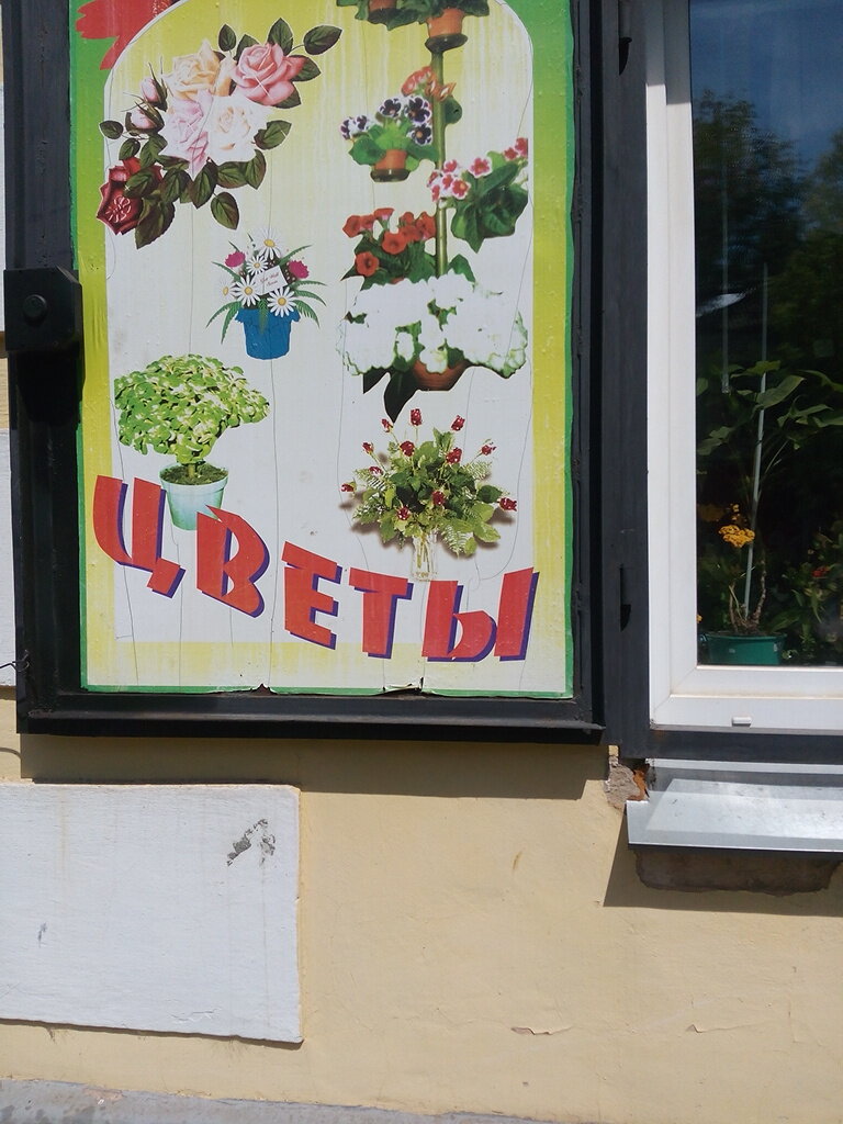 Çiçekçiler Magazin tsvetov, Kopeysk, foto