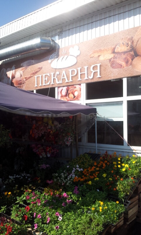 Ekmek fırını Пекарня, Dedovsk, foto