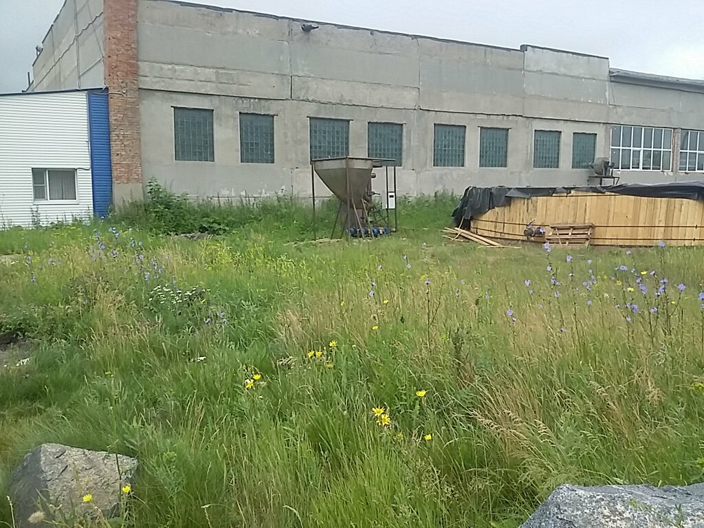 Otomobil servisi Avtoservis, avtotekhtsentr, Omsk, foto