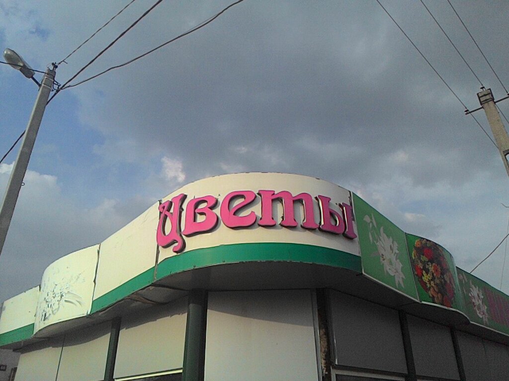 Çiçekçiler Ip Pasyukov I. V. Tsvety, Bataysk, foto