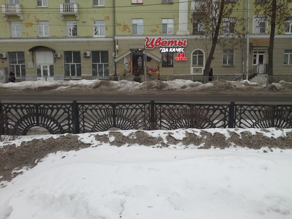 Çiçekçiler Tsvety, Vologda, foto