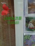 Vishivanka (Bobrova Street No:1), sanat atölyeleri  Dnepropetrovsk'tan