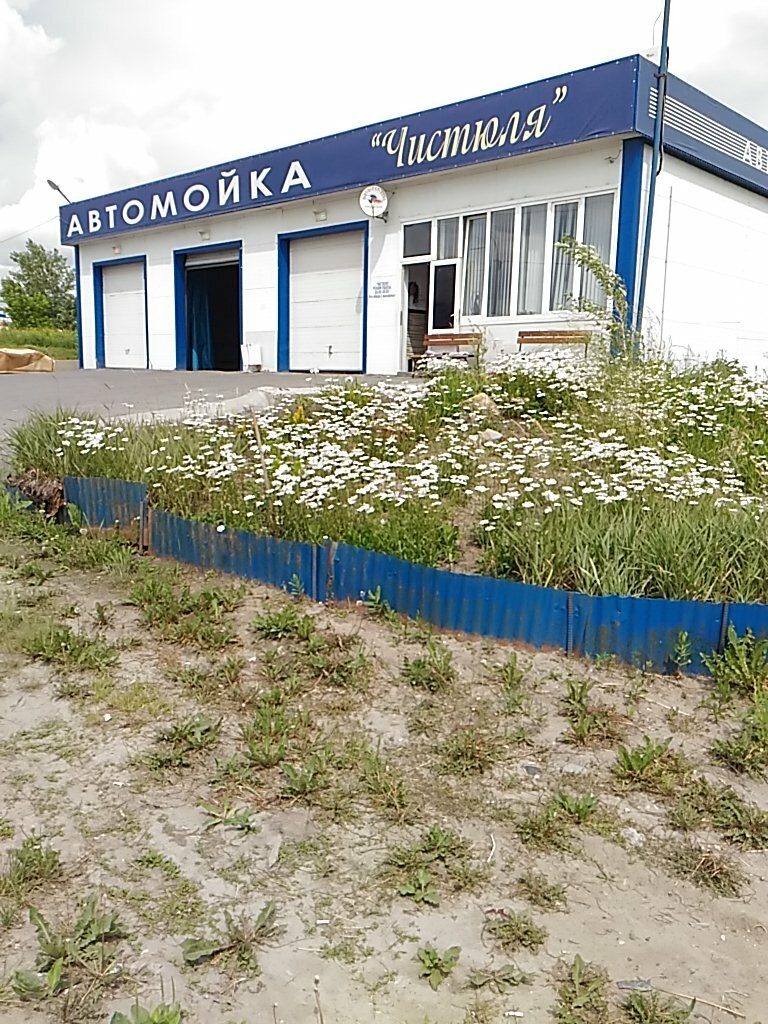 Oto yıkama Чистюля, Novosibirsk, foto