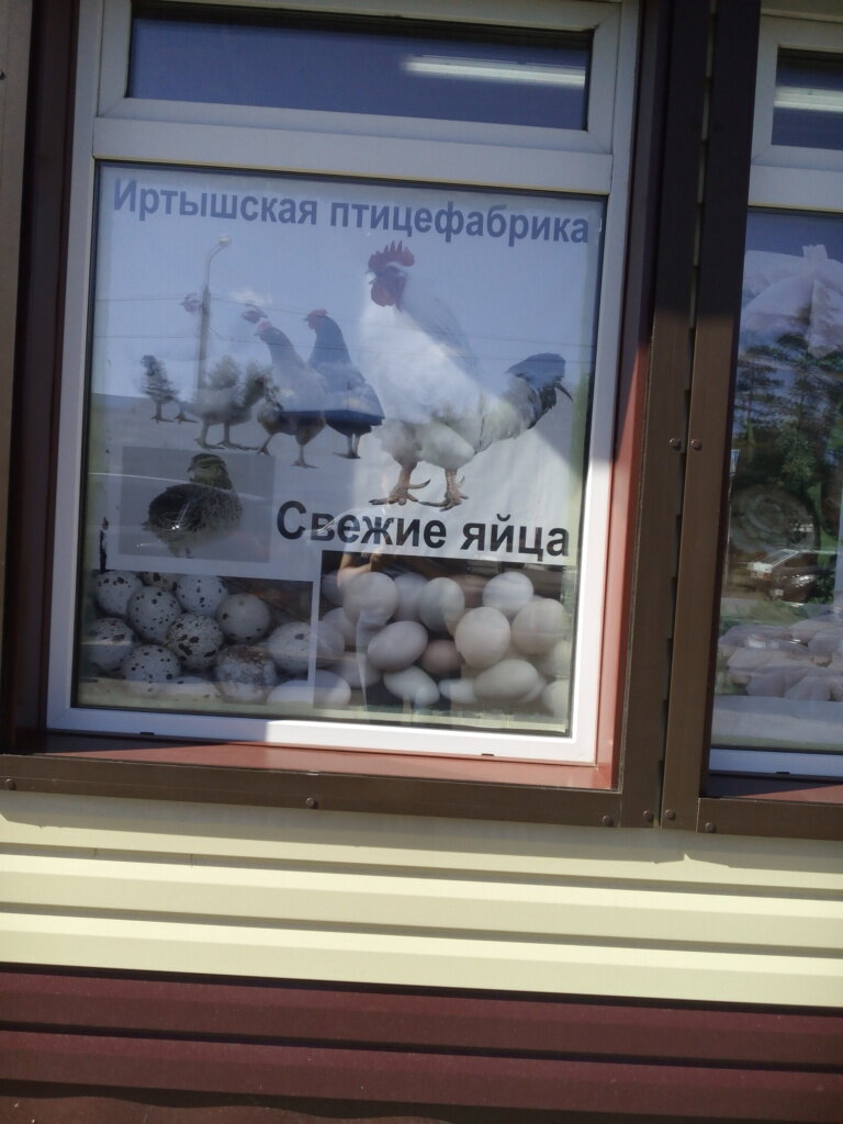 Kanatlı hayvan ürünleri ve yumurta Yaytso irtyshskoye, Omsk, foto