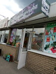 Mattiola (Dnipro, Velyka Diivska Street), tohum satan yerler  Dnepropetrovsk'tan