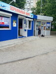 Zerkalny karp (Dnipro, Monitorna Street), balık ve deniz ürünleri  Dnepropetrovsk'tan