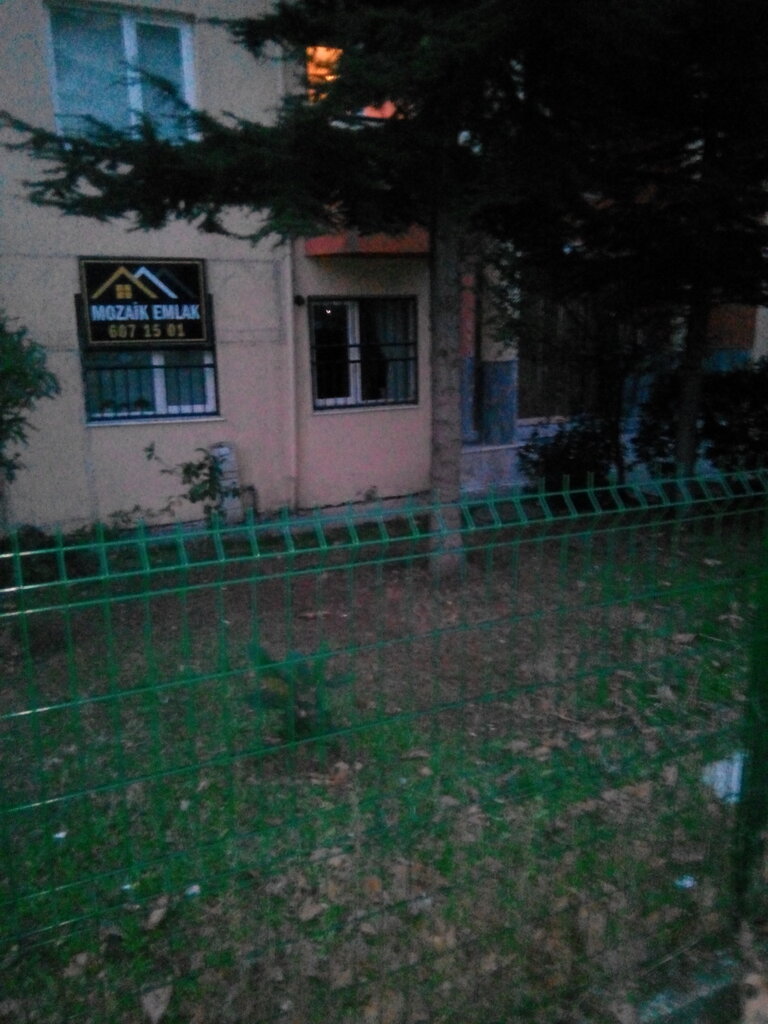 Emlak ofisi Mozaik Emlak, İstanbul, foto