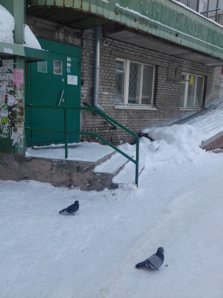 Kurs Tsentr dopolnitelnogo obrazovaniya detey, Ob, foto