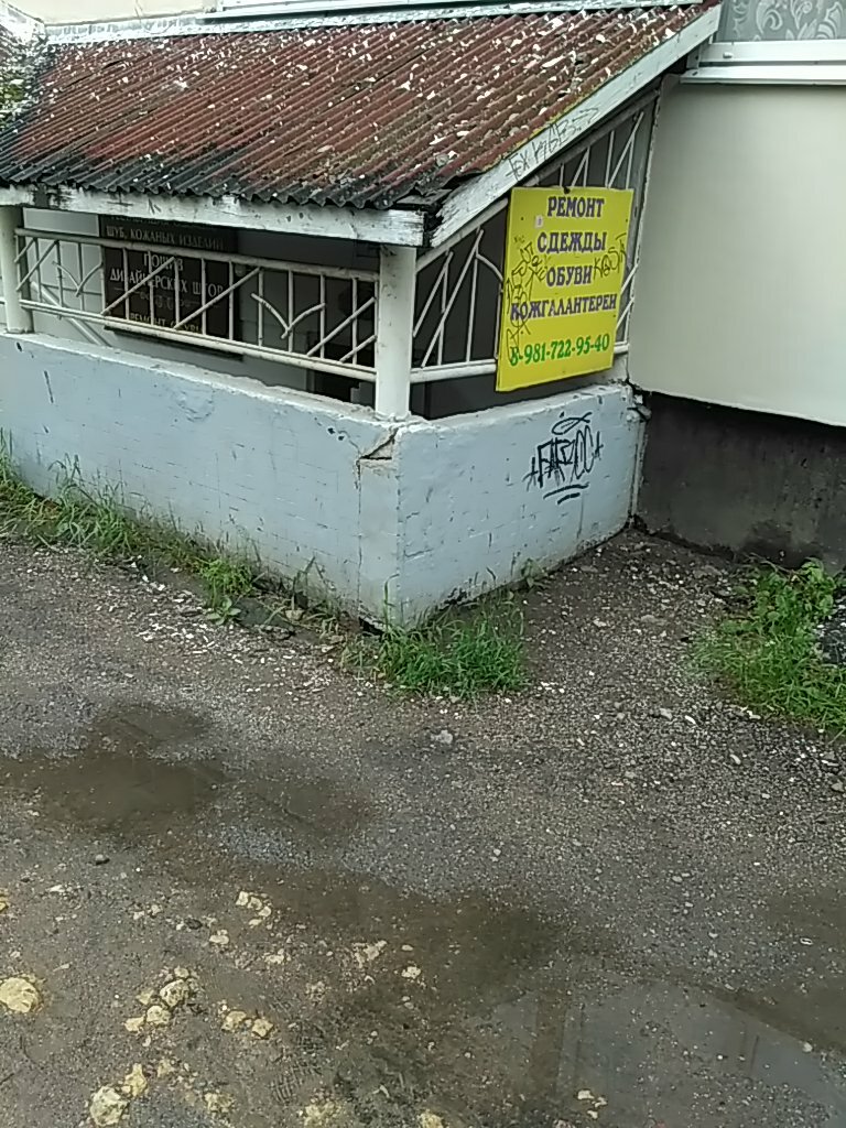 Terziler Ip Matveyev S. Ye, Saint‑Petersburg, foto