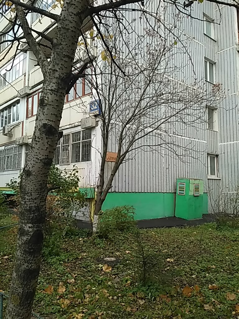 Garajlar Garazh Turist, Odintsovo, foto