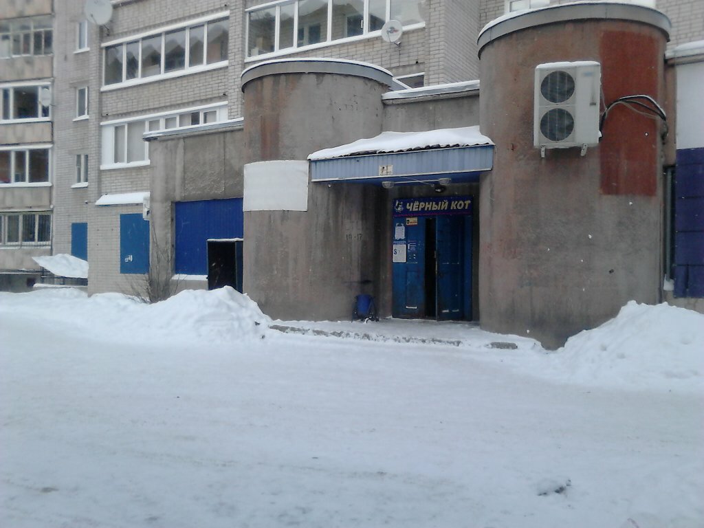Petshop Чёрный кот, Cherepovets, foto