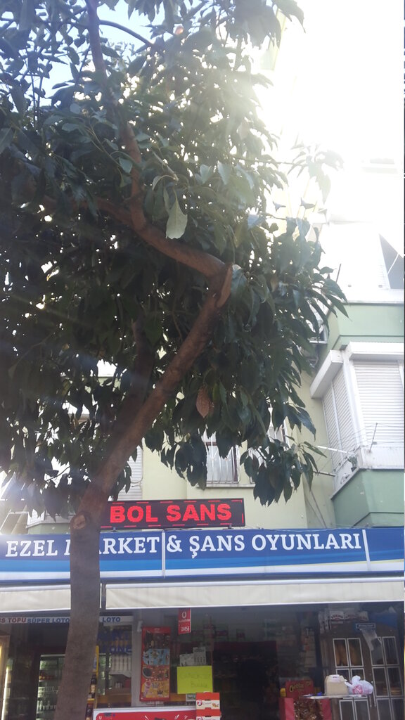 Market Ezel Market, Alanya, foto
