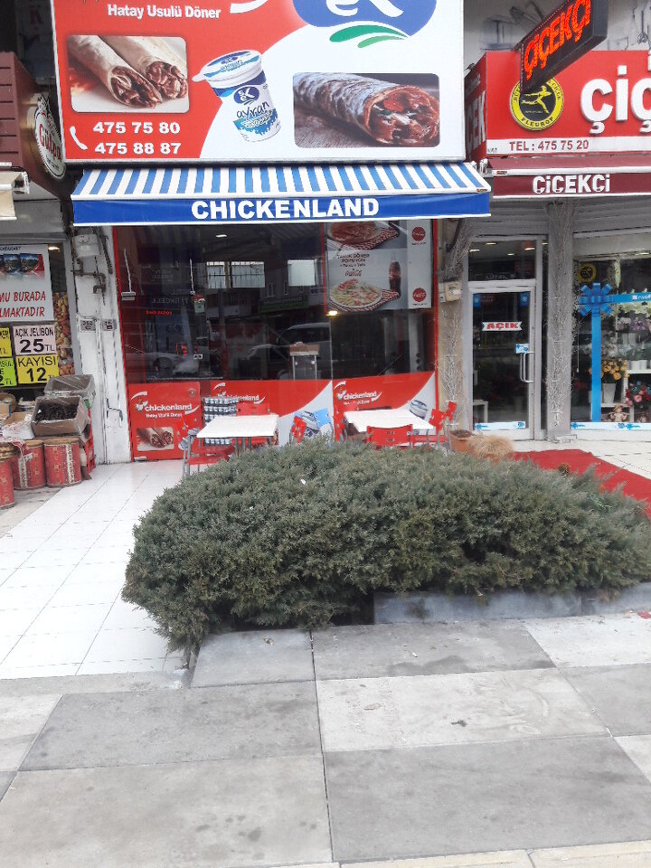 Fast food Chickenland, Ankara, foto