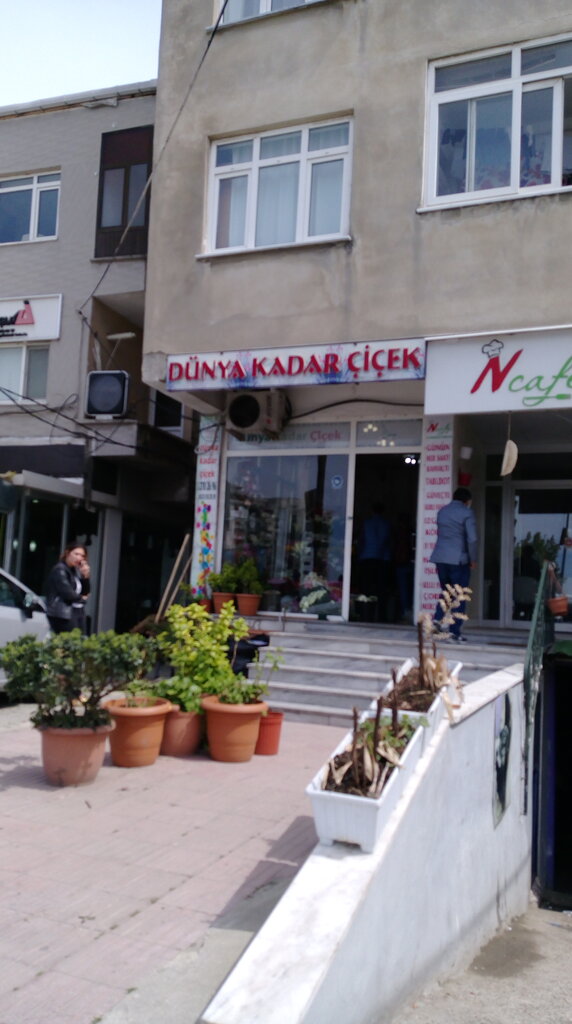 Çiçekçiler Dünya Kadar Çicek, İstanbul, foto