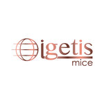 Igetis Mice (İstanbul, Şişli, Mecidiyeköy Mah., Mecidiye Cad., 11), turizm acenteleri  İstanbul'dan