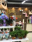 Tsvety salon (No:8А, mikrorayon Davydovskiy-3), çiçekçiler  Kostroma'dan