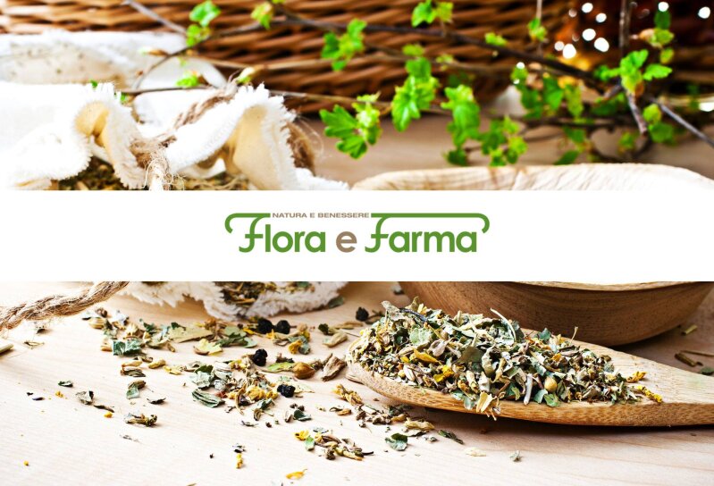 Alternatif tıp merkezleri Flora e Farma, Calabria, foto