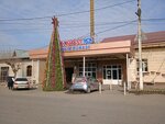 İkram Kebap Şişlikhanesi (Mirsayfi Rajabov koʻchasi No:56, Orta Xojasoat mahalla fuqarolar yigʻini), restoran  Semerkant'tan