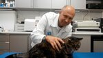 Vash Veterinar (Kirova Street No:102), veteriner klinikleri  Novokuznetsk'ten