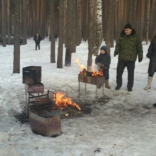 Orman Чёрный дол, Kovrov, foto