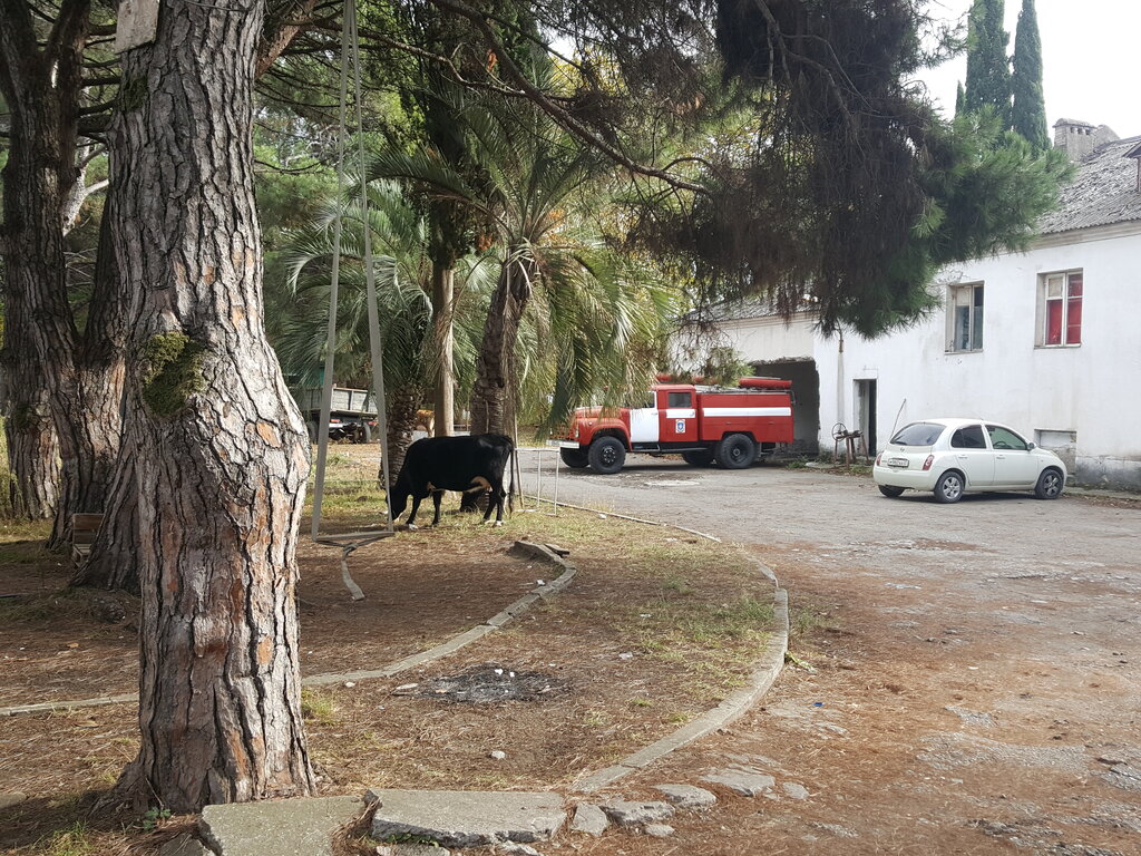 i̇tfaiye МЧС Абхазии, Gagra Bölgesi, foto
