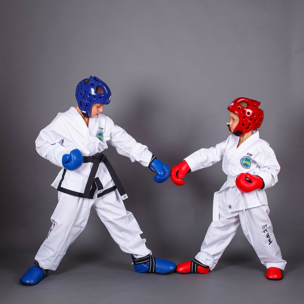 Yönetim ofisi Taekwondo Pro, Moskova, foto