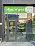 Лукоморье (Geroev Avenue No:30), anaokulları  Saint‑Petersburg'dan