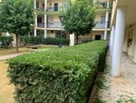 Milsur Group Facility Services S. L. (Autonomous Community of Andalusia, Huelva, Polígono Industrial La Planta, 1), temizlik şirketleri  Sevilla'dan