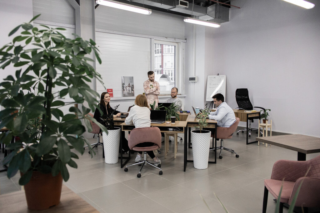 Paylaşımlı ofis Vitoku, Cherepovets, foto