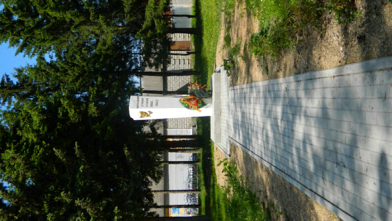 Anıt, heykel Памятник партизанам отряда Родина, Syçovka, foto