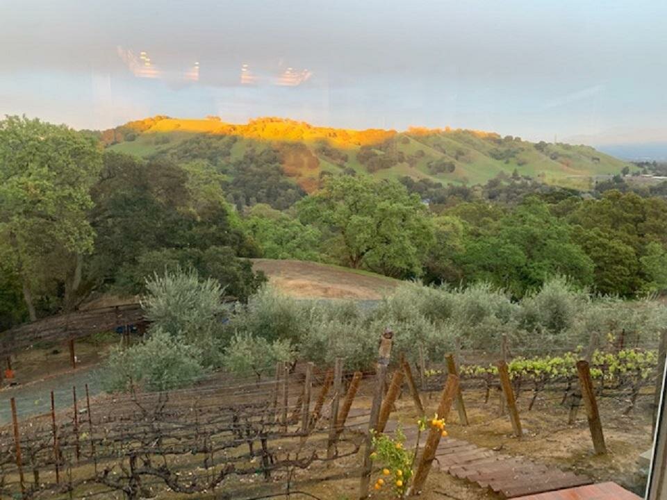 Eğlence merkezleri Bhachu Vineyards, Kaliforniya Eyaleti, foto