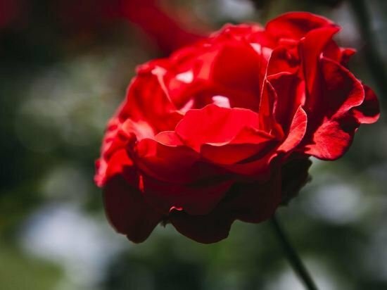 Otel Xenion Ioannina, Yanya, foto