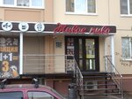 Живое пиво (Sovetskiy District, Mezhdurechenskaya ulitsa, 1А), beer shop  Voronej'den