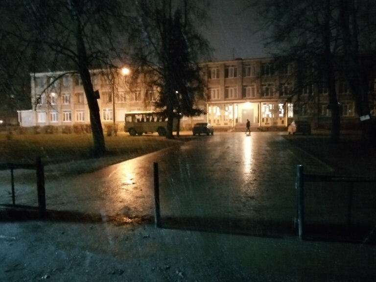 Lise Litsey Razvitiye, Pskov, foto