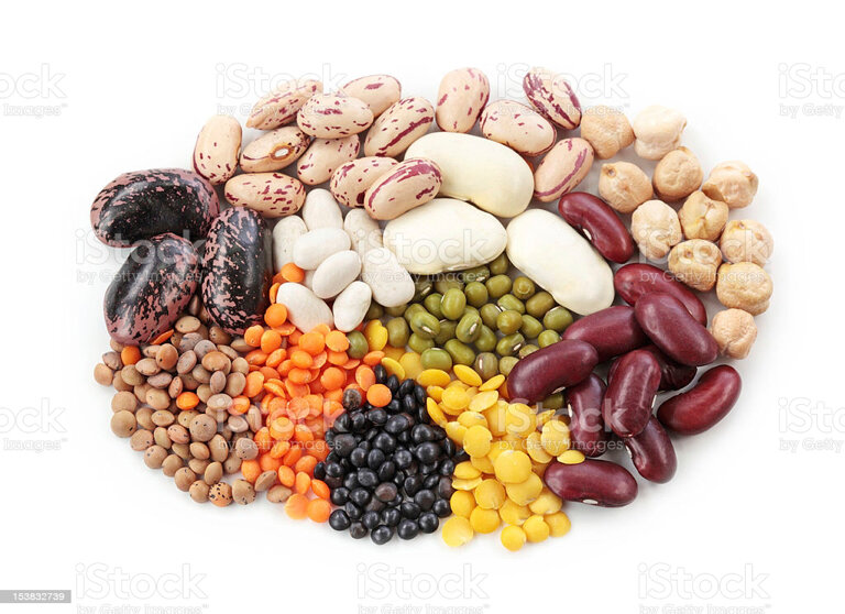 Tarım ürünleri firmaları Khurshid Trade, Taşkent eyaleti, foto