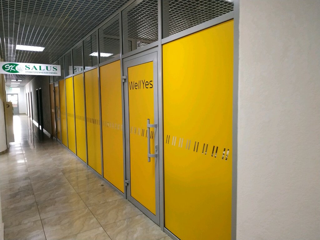Bilişim firmaları WellYes, Soçi, foto