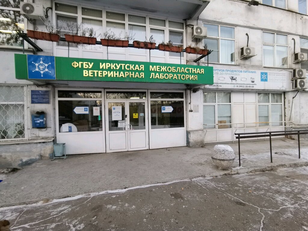 Bilim araştırma enstitüsü Институт экспериментальной ветеринарии Сибири и Дальнего Востока, Irkutsk, foto