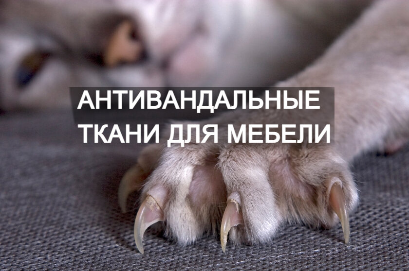 Mobilya tamir, tadilat Tkani, Moskova, foto
