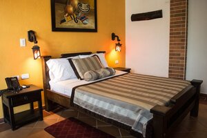 El Virrey Hotel (Tolima, Honda), otel